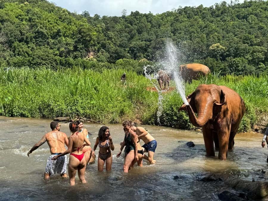 Chiang Mai: Elephant Sanctuary & Pha Chor Canyon - Is This Tour Worth It?