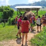 Chiang Mai Elephant Village Life: Long Neck & Bamboo Rafting - Practical Details That Matter