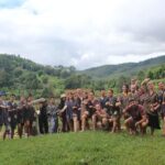 Chiang Mai Ethical Watching Elephant Sanctuary tour - The Experience and What Travelers Are Saying