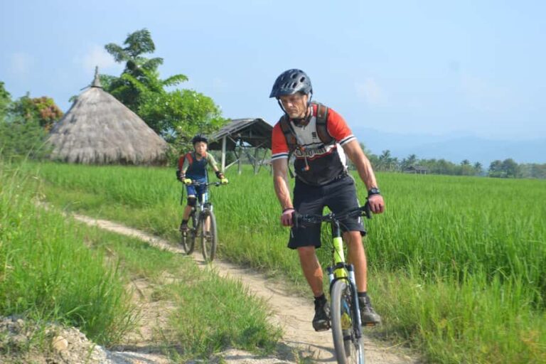 Chiang Mai: Full-Day Nature & Countryside by Bicycle - The Thai Lunch in a Tropical Garden