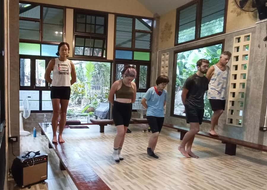 Chiang Mai: Full-Day Yoga & Meditation Experience with Lunch - What to Expect from a Day with Flow Yoga Chiang Mai