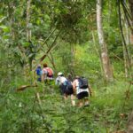Chiang Mai: Hilltribe Hiking and Kayaking Day Trip - What Makes This Tour Stand Out?