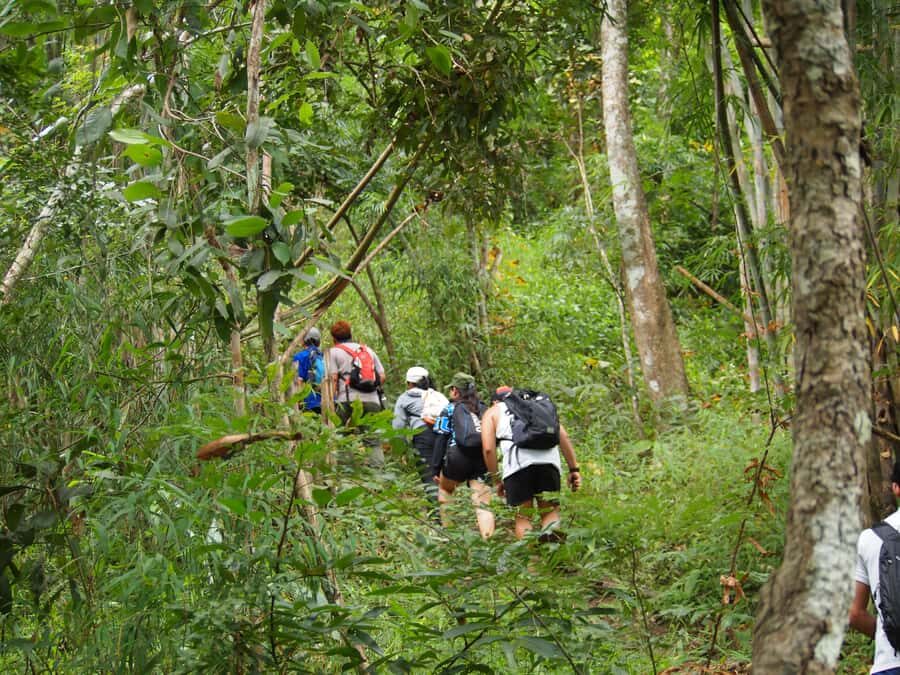 Chiang Mai: Hilltribe Hiking and Kayaking Day Trip - What Makes This Tour Stand Out?