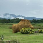 Chiang Mai: Huai Tueng Thao Half Day Tour with Lunch - Who Will Enjoy This Tour?