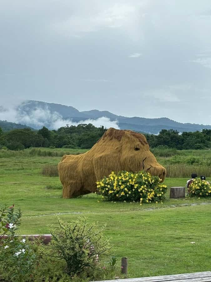 Chiang Mai: Huai Tueng Thao Half Day Tour with Lunch - Who Will Enjoy This Tour?
