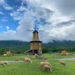 Chiang Mai: Huai Tueng Thao Lake Tour with Lunch & ATV - Who Should Consider This Tour?