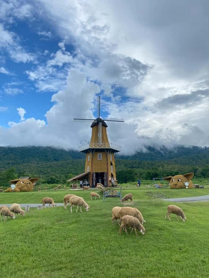 Chiang Mai: Huai Tueng Thao Lake Tour with Lunch & ATV - Who Should Consider This Tour?