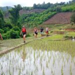 Chiang Mai: Karen Tribe & Dual Waterfalls - Private Day Trek - What Makes This Tour Stand Out