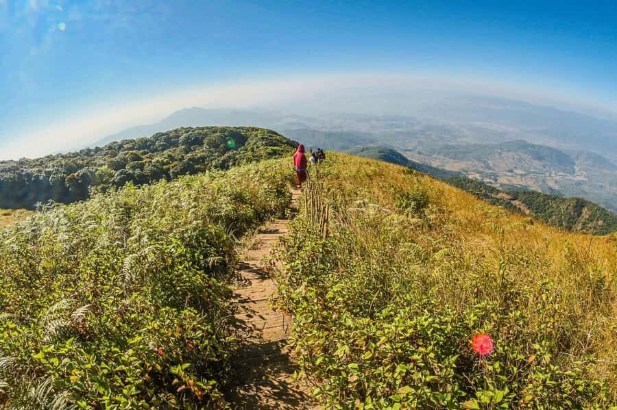 Chiang Mai: Kew Mae Pan Nature Trail & Doi Inthanon Day Trip - The Practicalities: What’s Included and What to Know