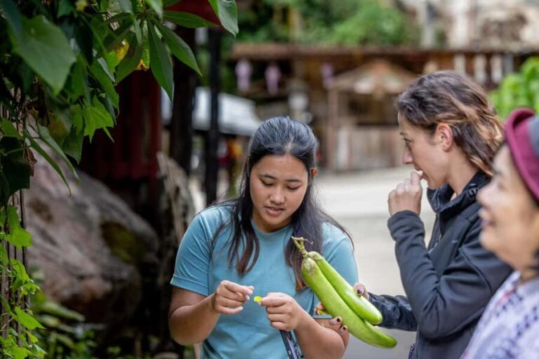 Chiang Mai: Mae Kampong Jungle Hike and Cooking Class - Detailed Breakdown of the Itinerary