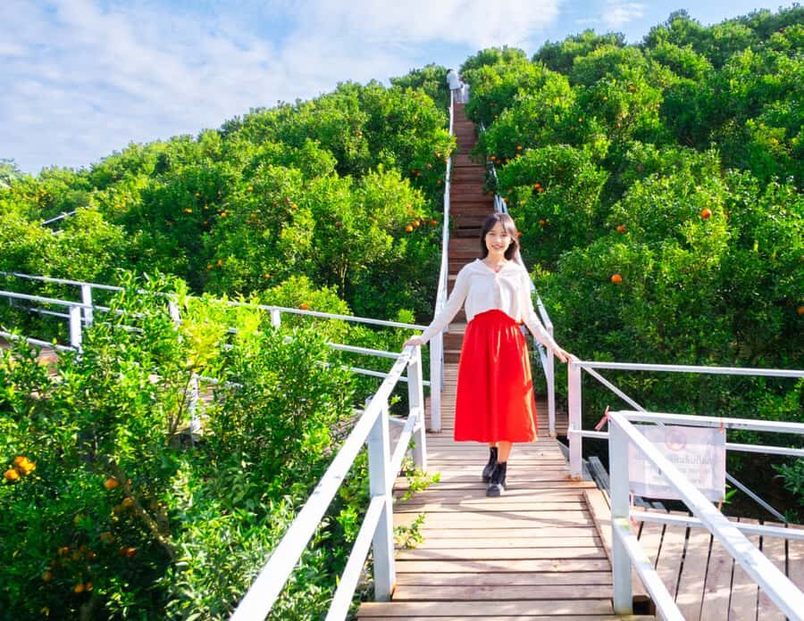 Chiang Mai: Mon Jam Flower Hills, Alpaca Cafe & Dantewada - What to Keep in Mind