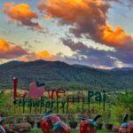 Chiang Mai: Pai Famous Attractions Day Trip with Guide - What the Reviews Say