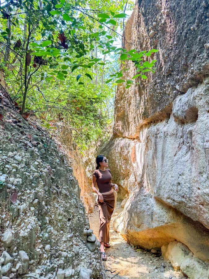 Chiang Mai: Pha Chor and Fernpresso Photo Trip - Who Will Benefit Most?