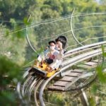 Chiang Mai: Pongyang Jungle Coaster & Zipline with Transfer - A Closer Look at the Experience
