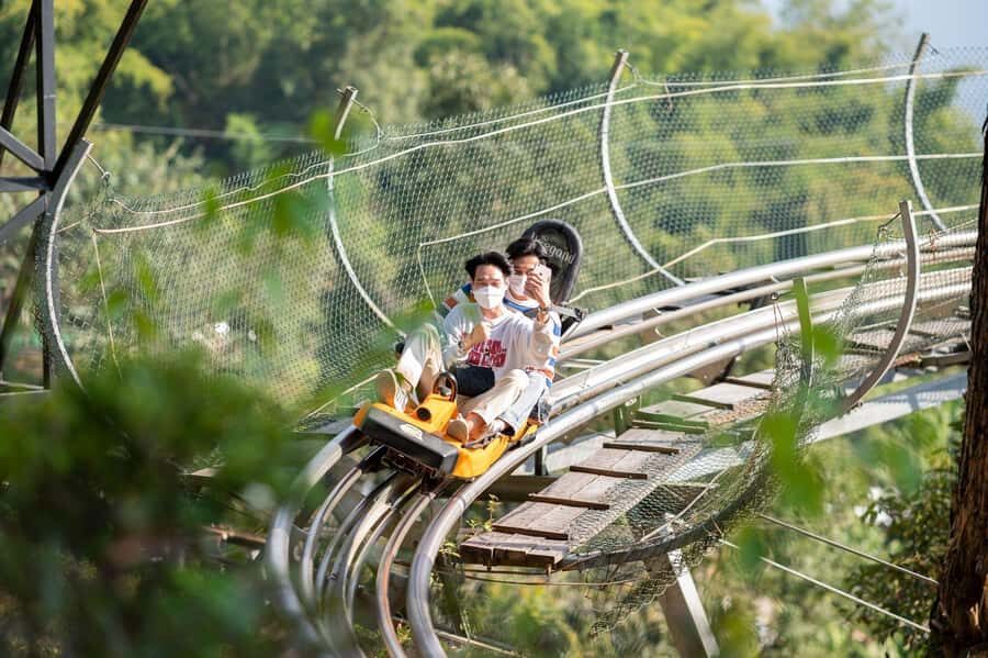 Chiang Mai: Pongyang Jungle Coaster & Zipline with Transfer - A Closer Look at the Experience