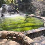 Chiang Mai: Private Chiang Rai Golden Triangle&Wellness Tour - An In-Depth Look at the Tour Itinerary