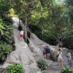 Chiang Mai : Sticky Waterfall, Cave, Forest Walk Tour - Why This Tour Offers Great Value
