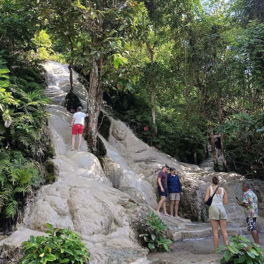 Chiang Mai : Sticky Waterfall, Cave, Forest Walk Tour - Why This Tour Offers Great Value