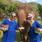 Chiang Mai Tour: Bua Tong Sticky Waterfall & Elephant Care - Transport, Timing, and Group Size