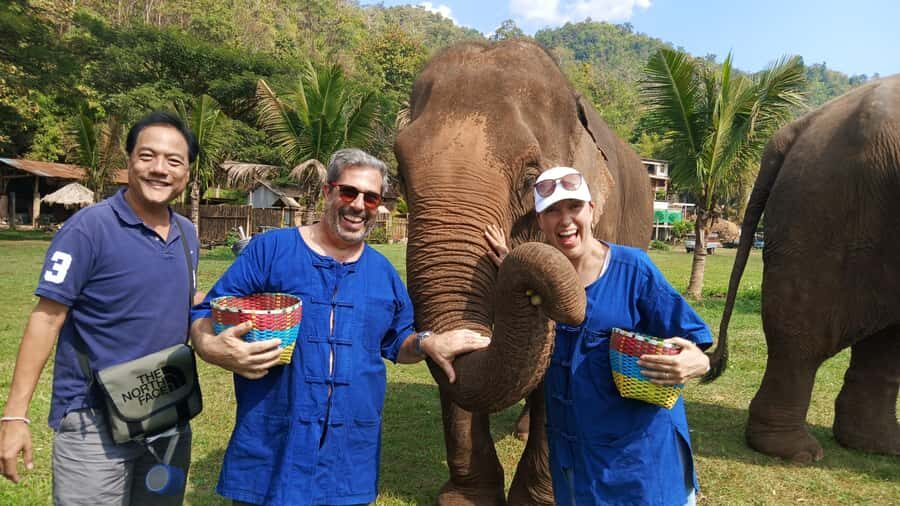 Chiang Mai Tour: Bua Tong Sticky Waterfall & Elephant Care - Transport, Timing, and Group Size