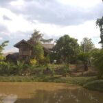 Chiang Mai: Wild Gibbon Encounters with Karen Homestay - Who Should Consider This Tour?