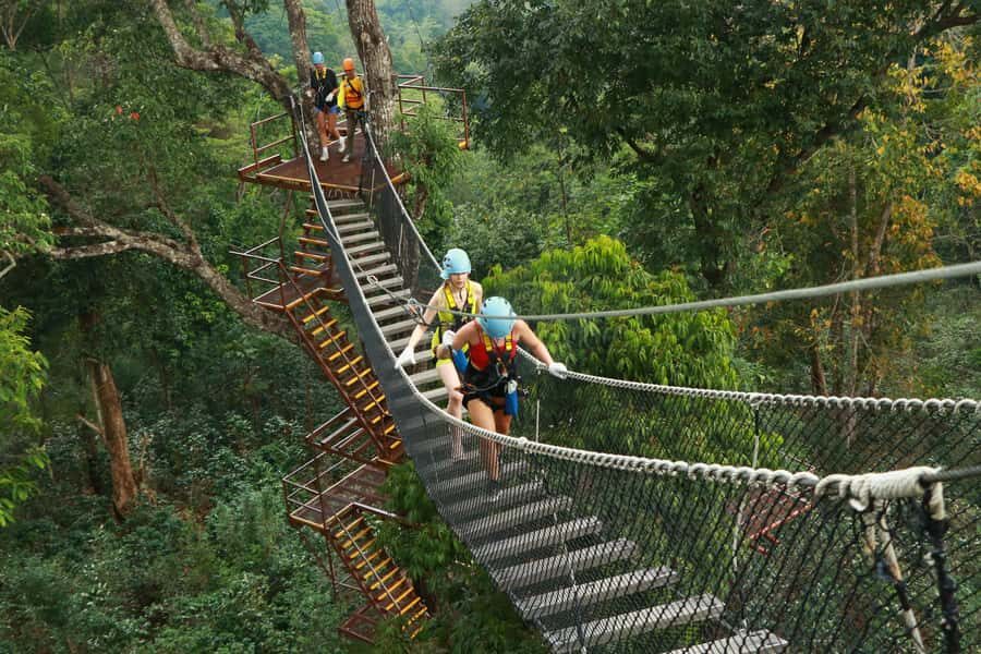 Chiang Mai: Zipline Adventure with Buffet Lunch and - The Thai Buffet Lunch and Additional Amenities