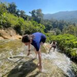 Chiang Mai:Farm-to-Table Cooking Class & Buatong Waterfall - Who Will Love This Tour?