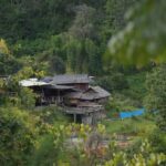 Chiang Mai:Trekking Eco-Trails Mae Win,Elephant Feeding&Raft - What We Like & What to Consider