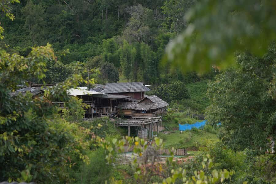 Chiang Mai:Trekking Eco-Trails Mae Win,Elephant Feeding&Raft - What We Like & What to Consider