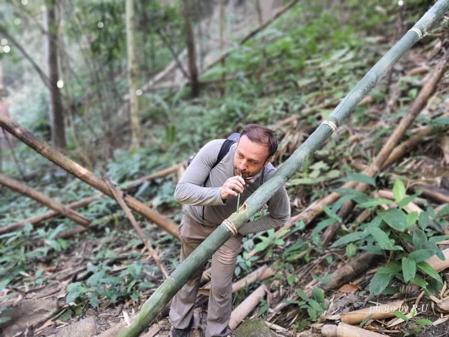 Chiang Rai: 2-Day Jungle Trek only walk with Waterfall - Who Should Consider This Tour?