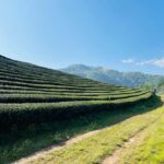 Chiang Rai: 7 Must-See Spots Tickets & Lunch Included - Transport, Guides, and Overall Value