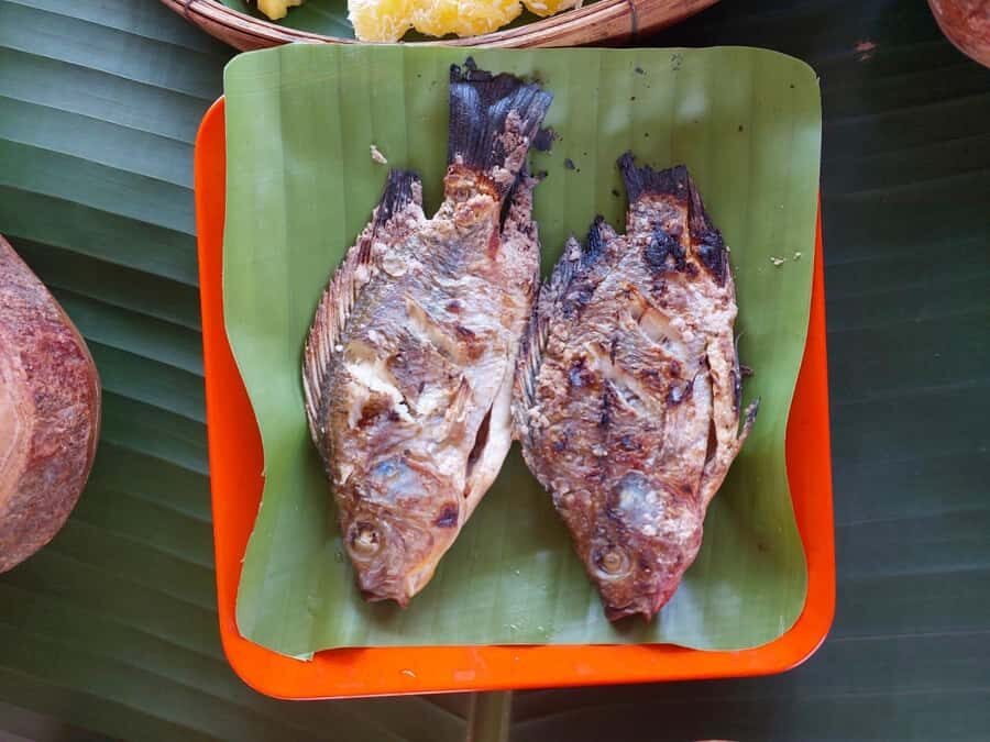 Chiang Rai: Heart to Heart Elephant Sanctuary Half Day Visit - What is the Itinerary Like?