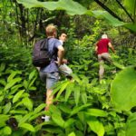 Chiang Rai: Jungle Adventure-Group Trekking & Bamboo Cooking - Authentic Experiences That Stand Out