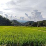 Chiang Rai: Jungle Trek, Waterfall, and Bamboo Raft Tour - Practical Details and Why They Matter