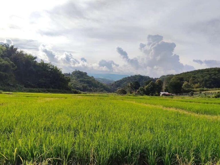 Chiang Rai: Jungle Trek, Waterfall, and Bamboo Raft Tour - Practical Details and Why They Matter