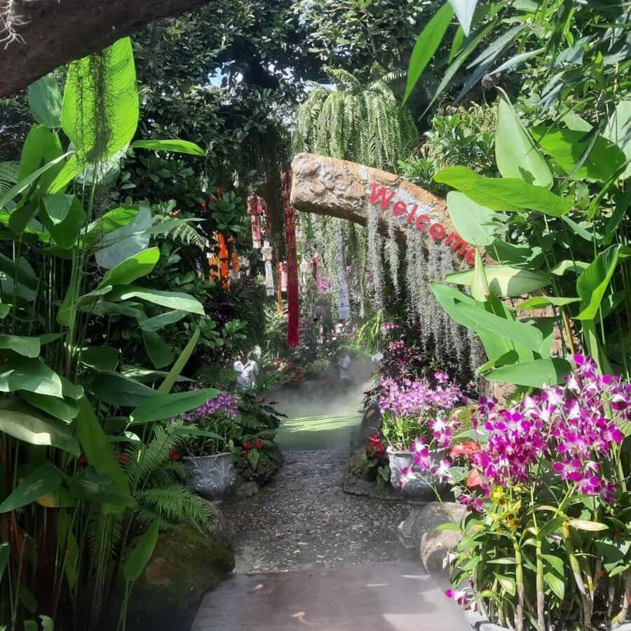 Chiang Rai: Temples Trip with Sang Kaew and Lalitta Cafe - Pricing and Value