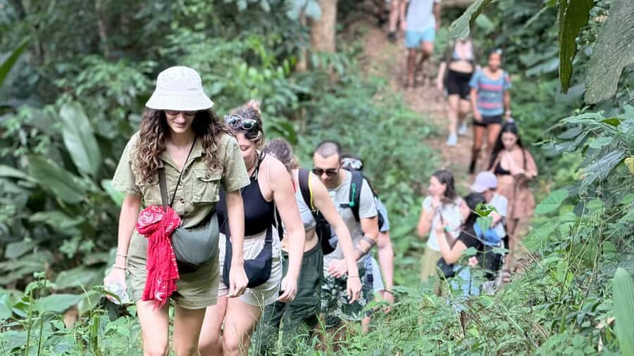 Chiang Rai: Unforgettable Trekking Tour with Bamboo Cooking - Final Thoughts