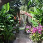 Chiang Rai White & Blue & Huay Pla Kang Temple& Lalitta Cafe - What Travelers Say