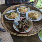 Chiangmai : Doi Pui Summit Hiking Experience - The Forest Trail: What to Expect