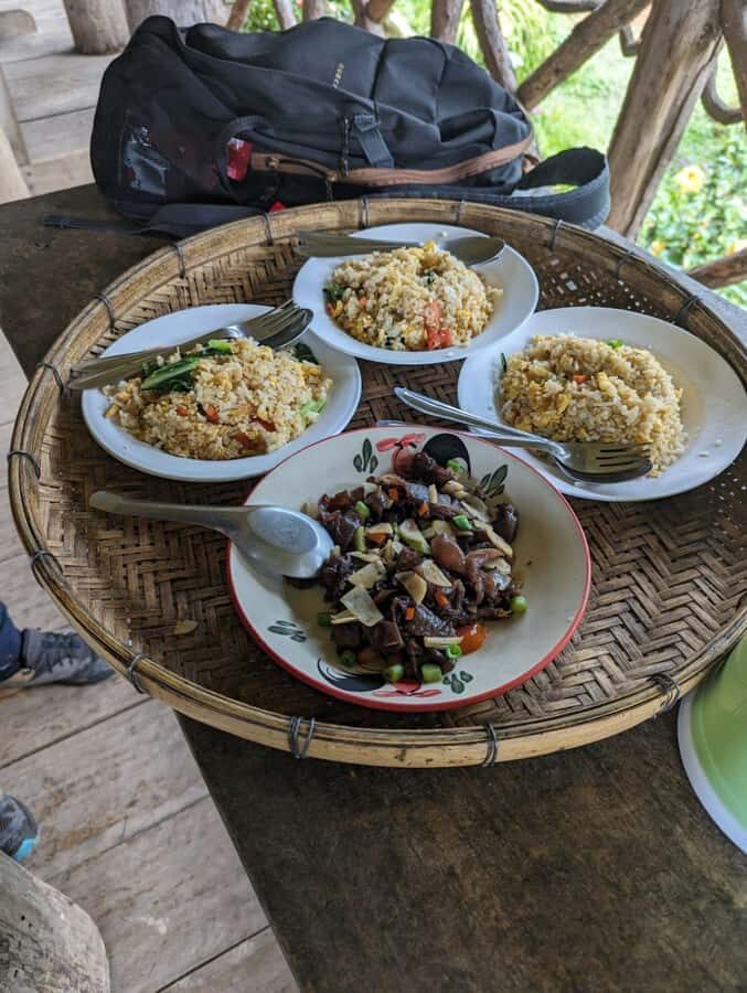 Chiangmai : Doi Pui Summit Hiking Experience - The Forest Trail: What to Expect