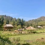 Chiangmai: Highlights Full-Day Tour with Private Driver - Who Will Enjoy This Tour?