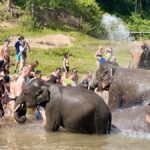 Chiangmai Overnight Trip with Ethical Elephant Santuary - Who Should Consider This Tour?