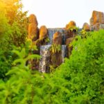 Chiangmai to Chiangrai: Temples, Hot Springs & Lalitta Cafe - The Experience and Value