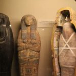 Chicago: Field Museum Ticket & Highlights Digital Tour - What’s Included and How It Works