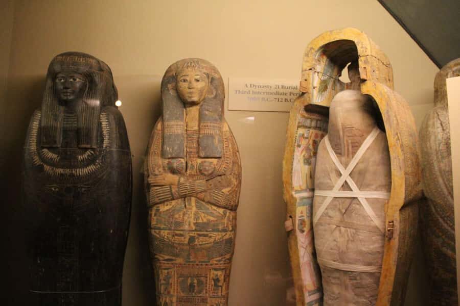 Chicago: Field Museum Ticket & Highlights Digital Tour - What’s Included and How It Works