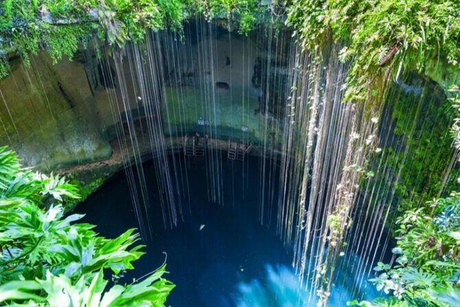 Chichen and 2 Cenotes Adventure with Buffet Lunch from Playa DC - What Travelers Say