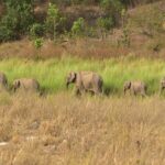 Chilla Range: Rajaji National Park Jeep Safari in Rishikesh - Value and Practicality