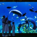 Chimelong Spaceship Theme Park - What to Expect During Your Visit