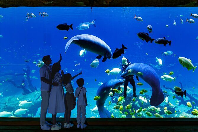 Chimelong Spaceship Theme Park - What to Expect During Your Visit