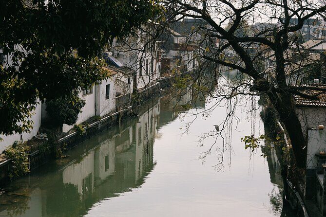 Chinese Painting with Local Master in Water Town - Practical Details and Value